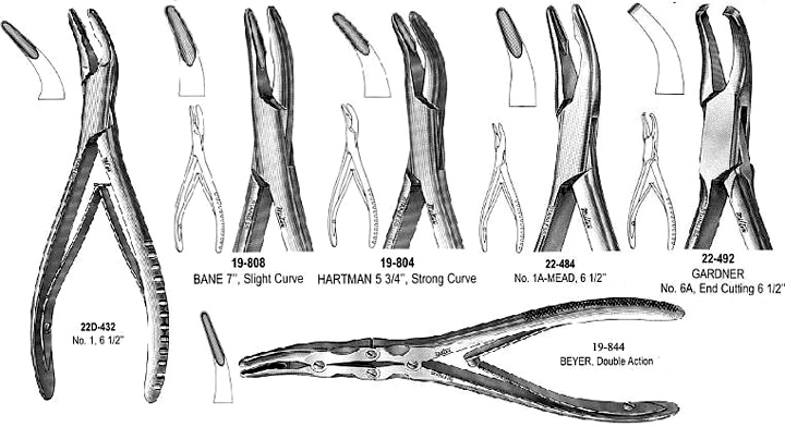 Hartman Rongeurs 5 3/4" (14.6 cm), strong curve, 4 x 12 mm bite