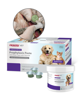 Pet Prophylaxis Paste Medium Grit with Fluoride, Mint, 1.23% APF Unit ...